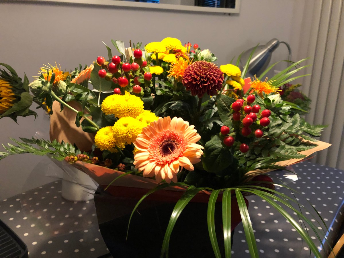 Events dear boy, events… – Ceinioghome